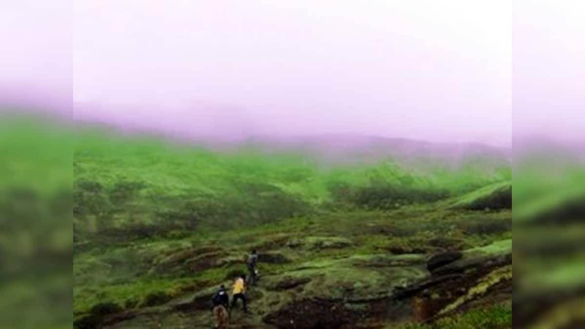 Unesco adds Agasthyamala to its list of World Network of Biosphere ...