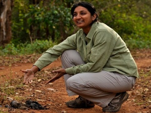 Burning bright: Award-winning ecologist Uma Ramakrishnan speaks of her ...