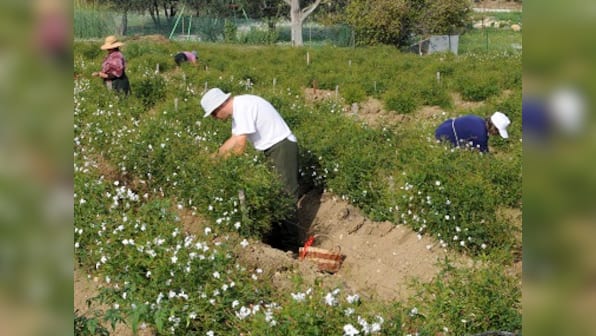 Perfumers in Grasse hope to smell success in crusade for Unesco ...