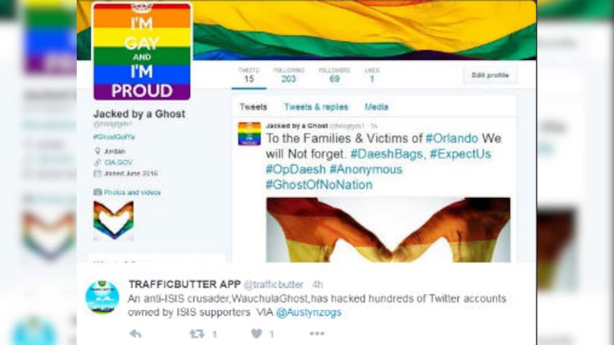 'Ghost' hacker takes IS Twitter accounts by storm, floods them with ...