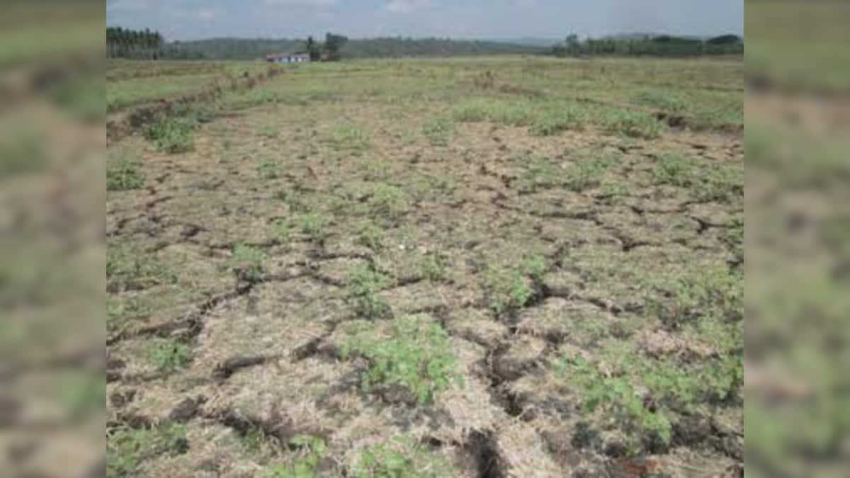 Kerala stares at worst drought in 115 years: State may impose water ...
