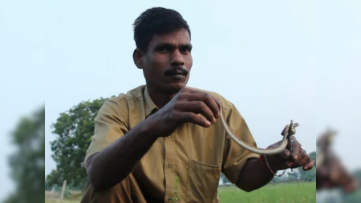 Meet Kali and Vedan from a snake-catching tribe from Tamil Nadu that ...