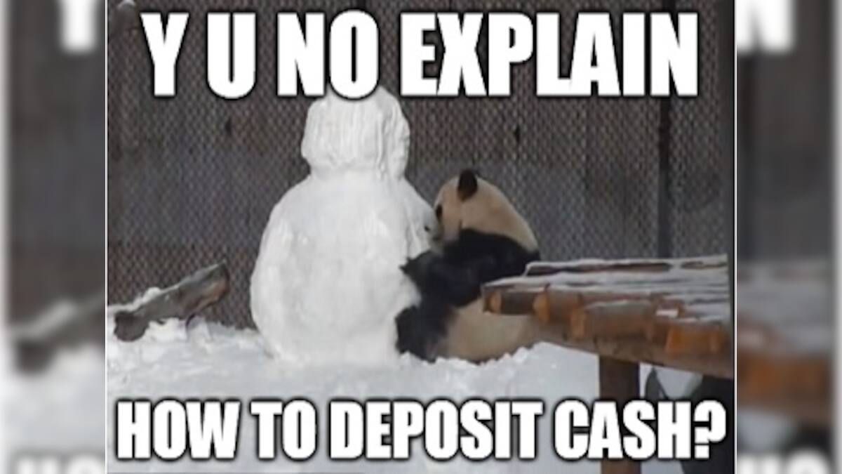 Panda and snowman discuss demonetisation: What Toronto Zoo's finest ...