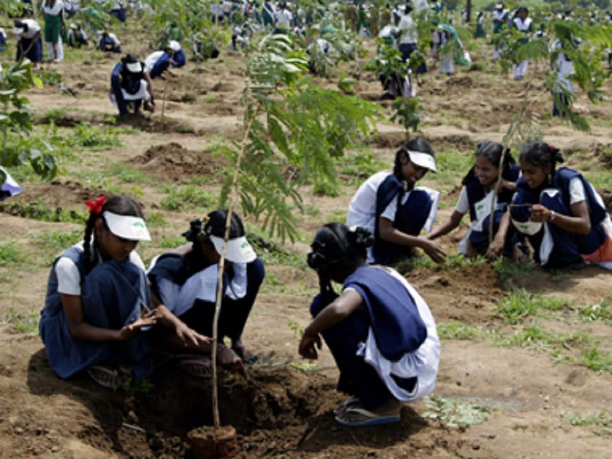 World Environment Day: Kerala takes lead by planting one crore saplings ...