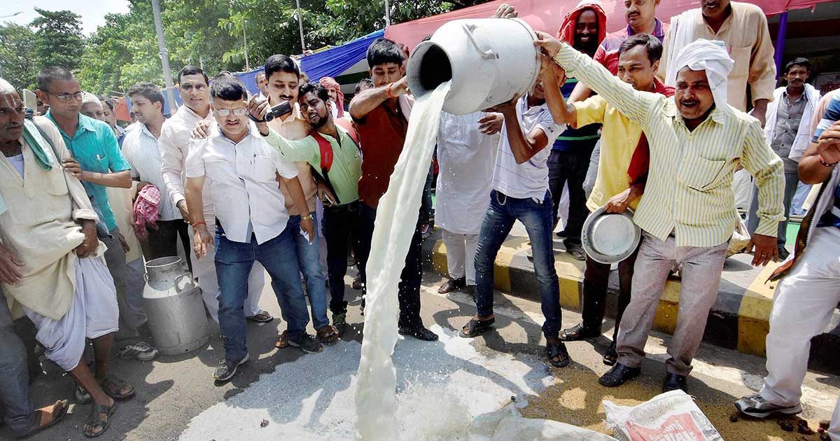 No milk supply to any city in Maharashtra from Monday: Farmers demand ...