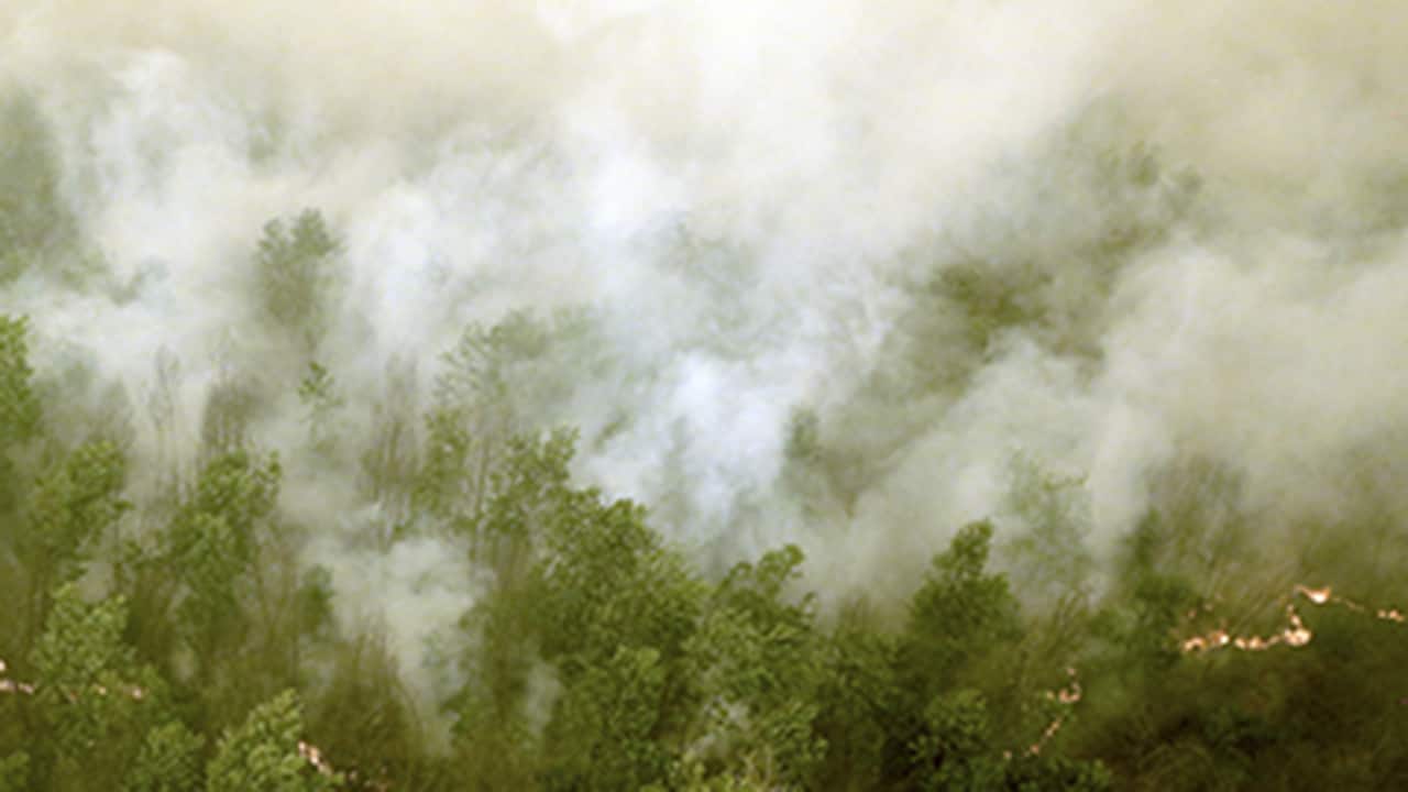 Fire rages across Indonesia's Sumatra, Borneo islands; residents suffer ...