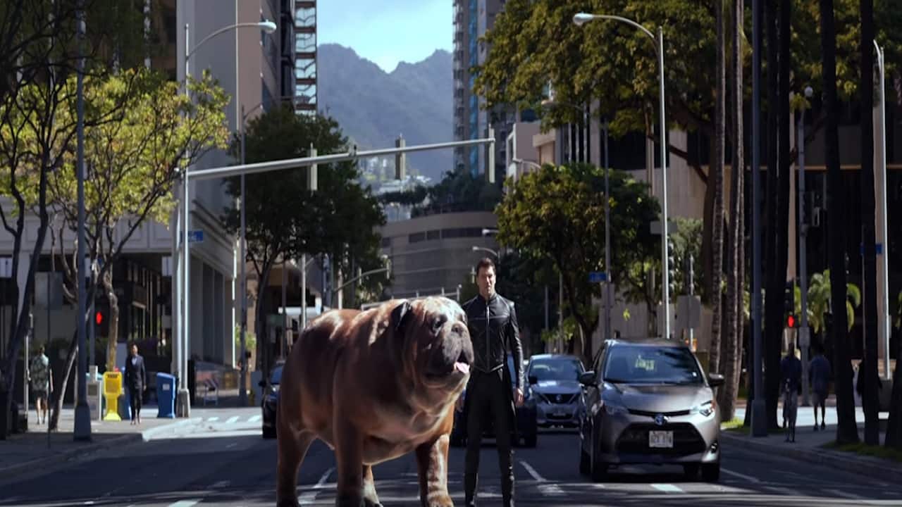 Marvel's Inhumans trailer: Lockjaw, a giant bulldog, is star attraction ...