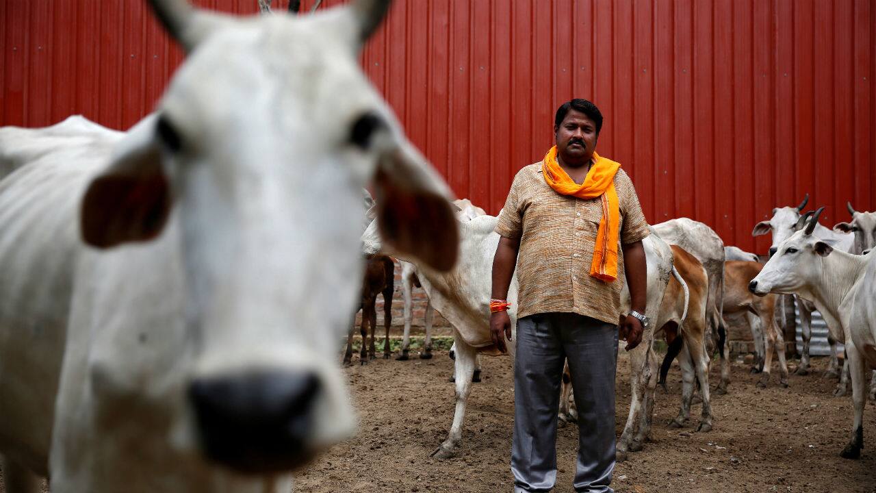 West Bengal 'deadliest' state for cow-related violence in 2017; five ...