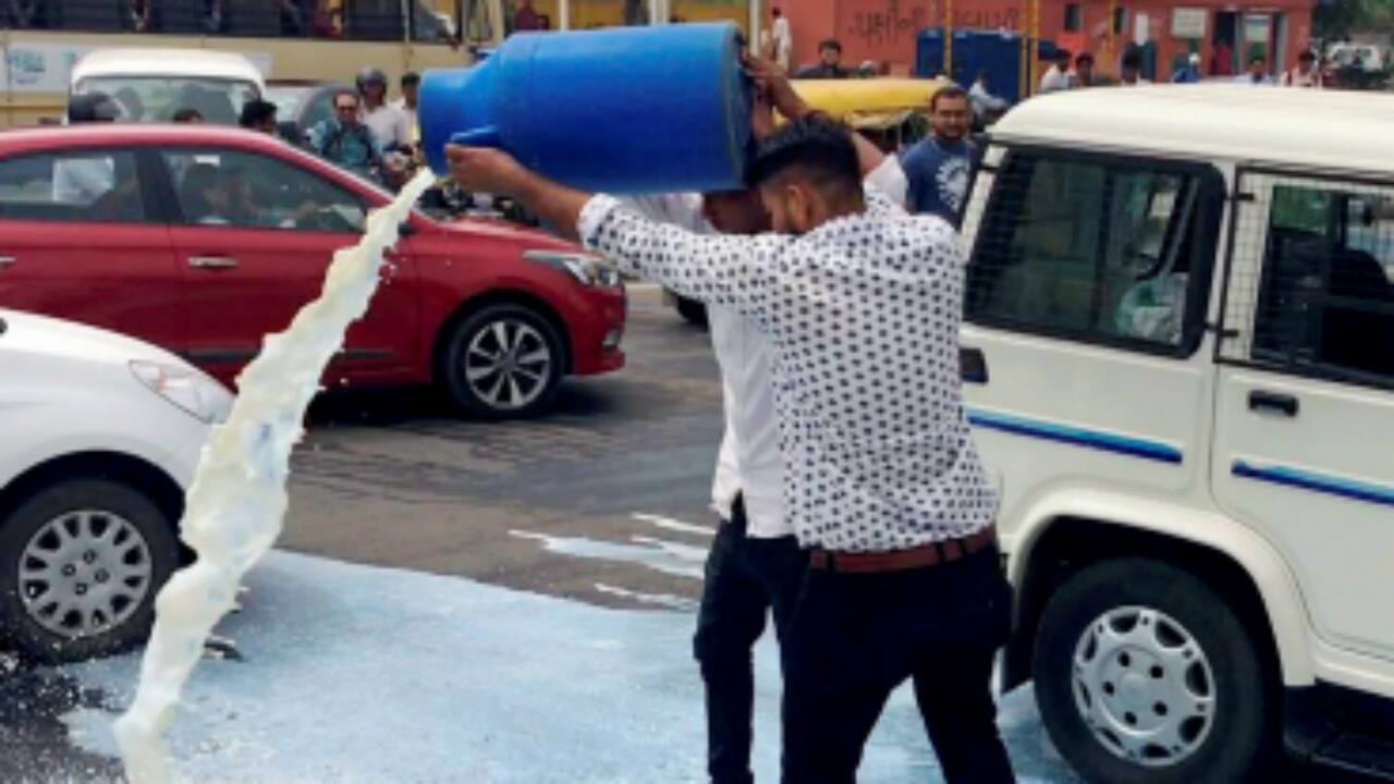 Loan waiver: Gujarat farmers throw milk on roads, plan to continue ...