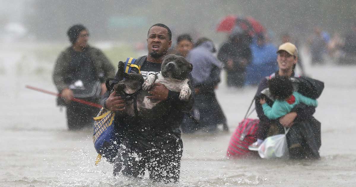 Hurricane Harvey: Death toll reaches 50; rescue workers search flooded ... Hurricane Harvey: Death toll reaches 50; rescue workers search flooded ...