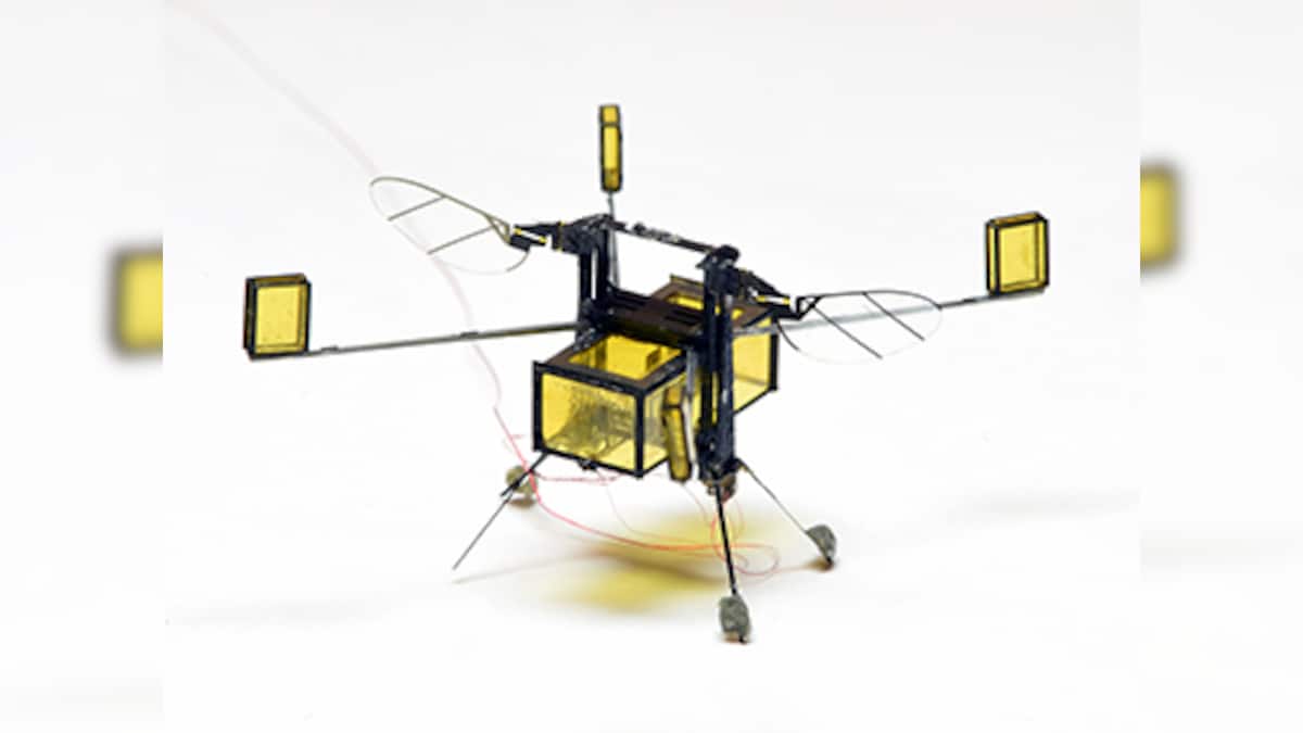 Harvard researchers create RoboBee, a bee-inspired robot that can fly ...