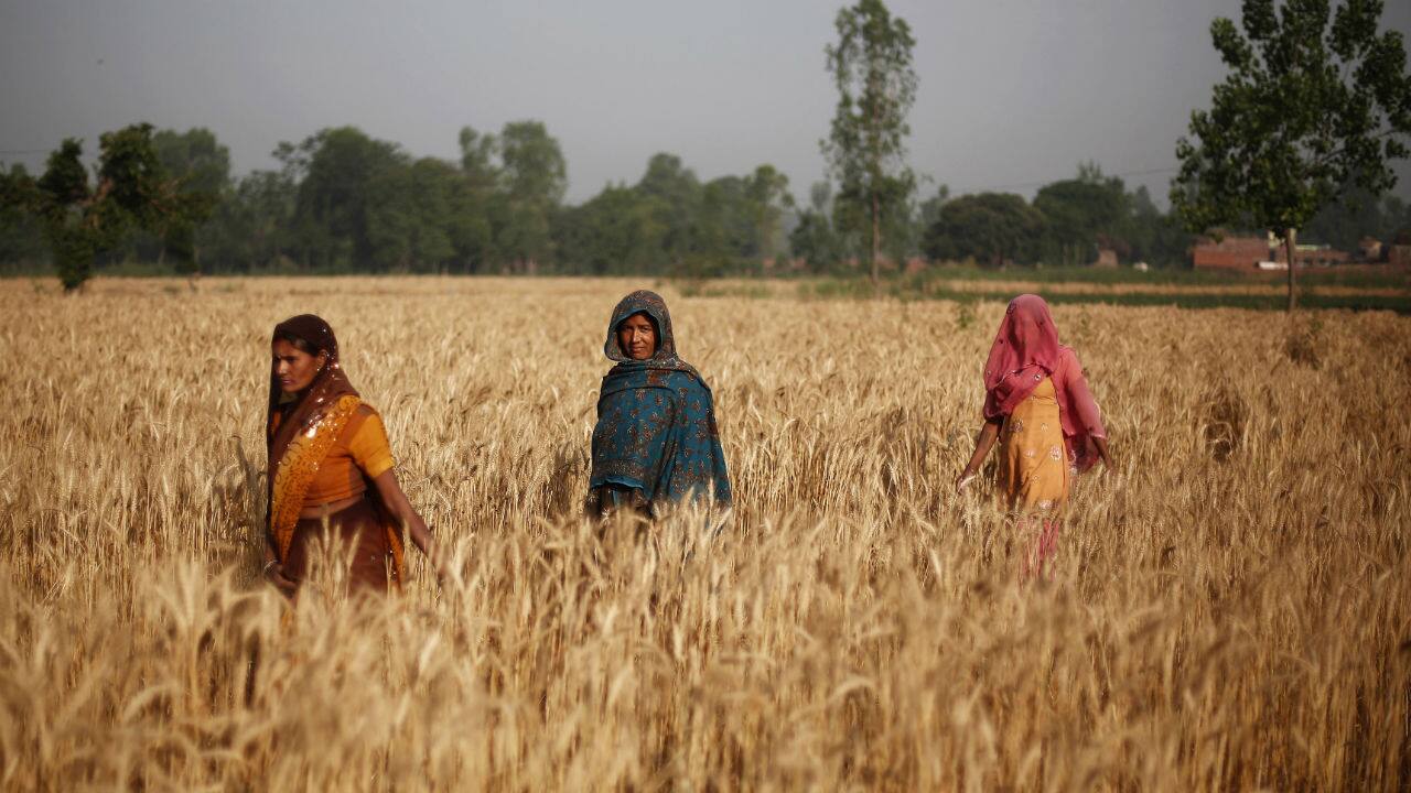 A new study reveals that rural women have the resilience to cope with ...
