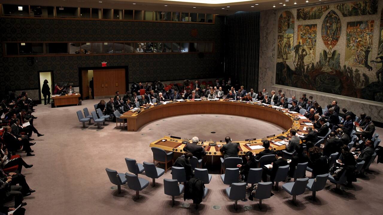 United Nations Security Council reform text should represent universal ...
