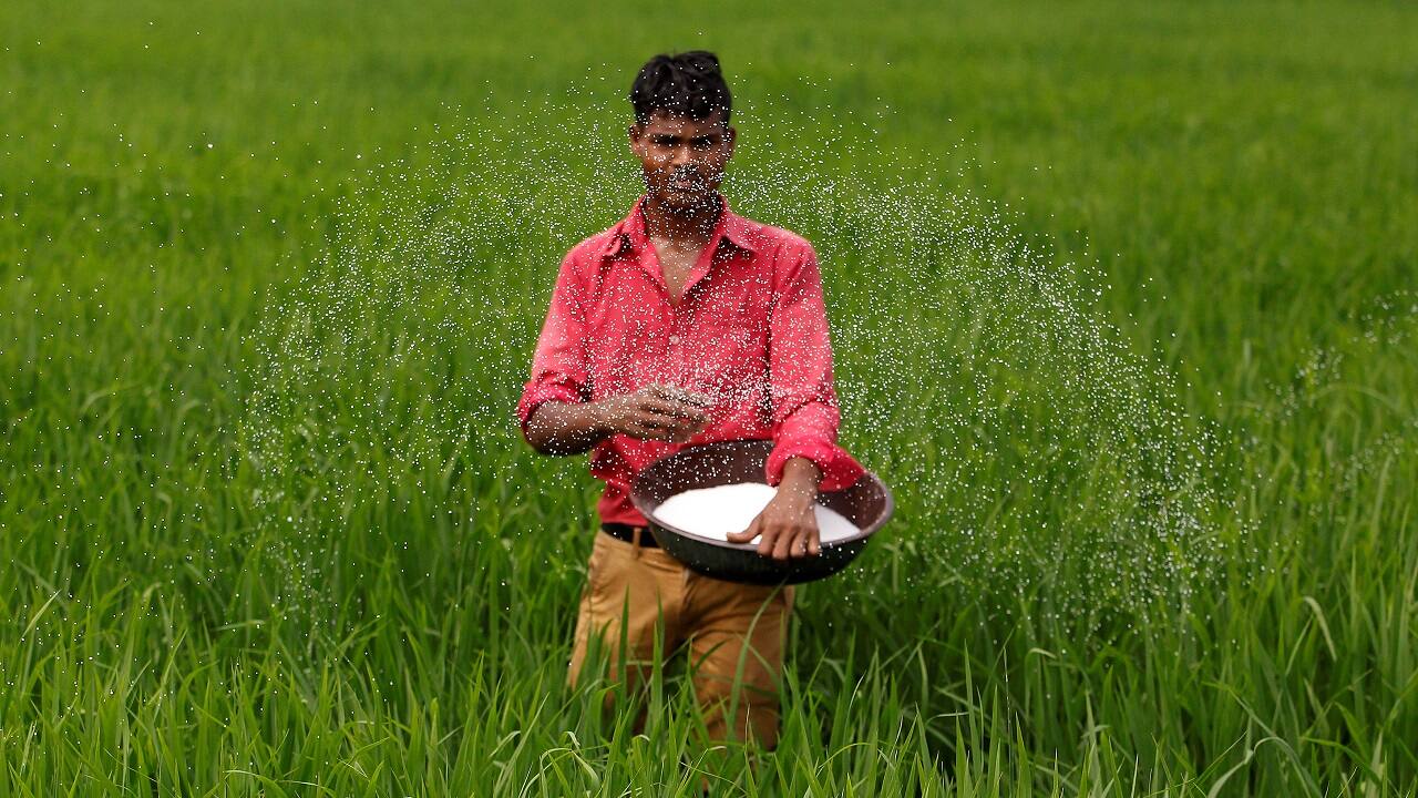 Speciality rice varieties of Kerala are a storehouse of nutrition ...