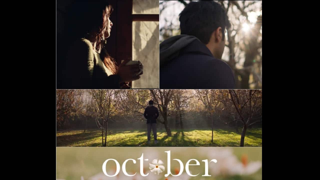 October teaser: Varun Dhawan, Banita Sandhu take us on an intimate ...