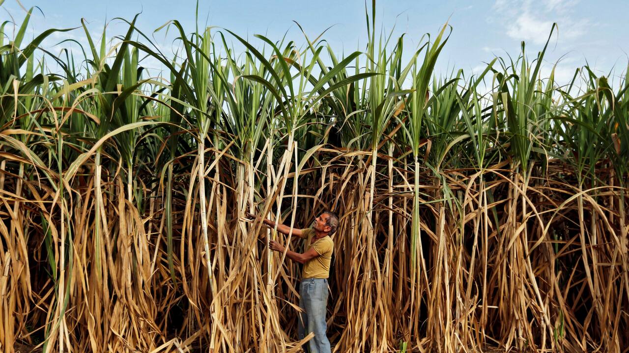 Government allows ethanol-making directly from sugarcane juice, B ...