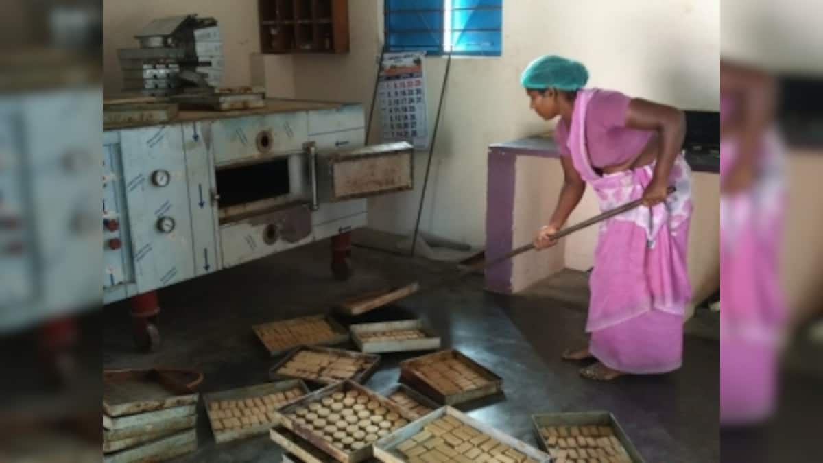 12.8% landholding, 90% work: Tamil Nadu women battle patriarchy while ...