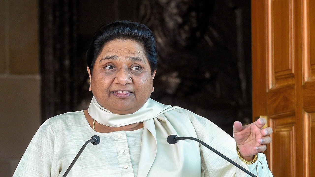 Mayawati says SP-BSP 'friendship' forged in national interest, calls ...
