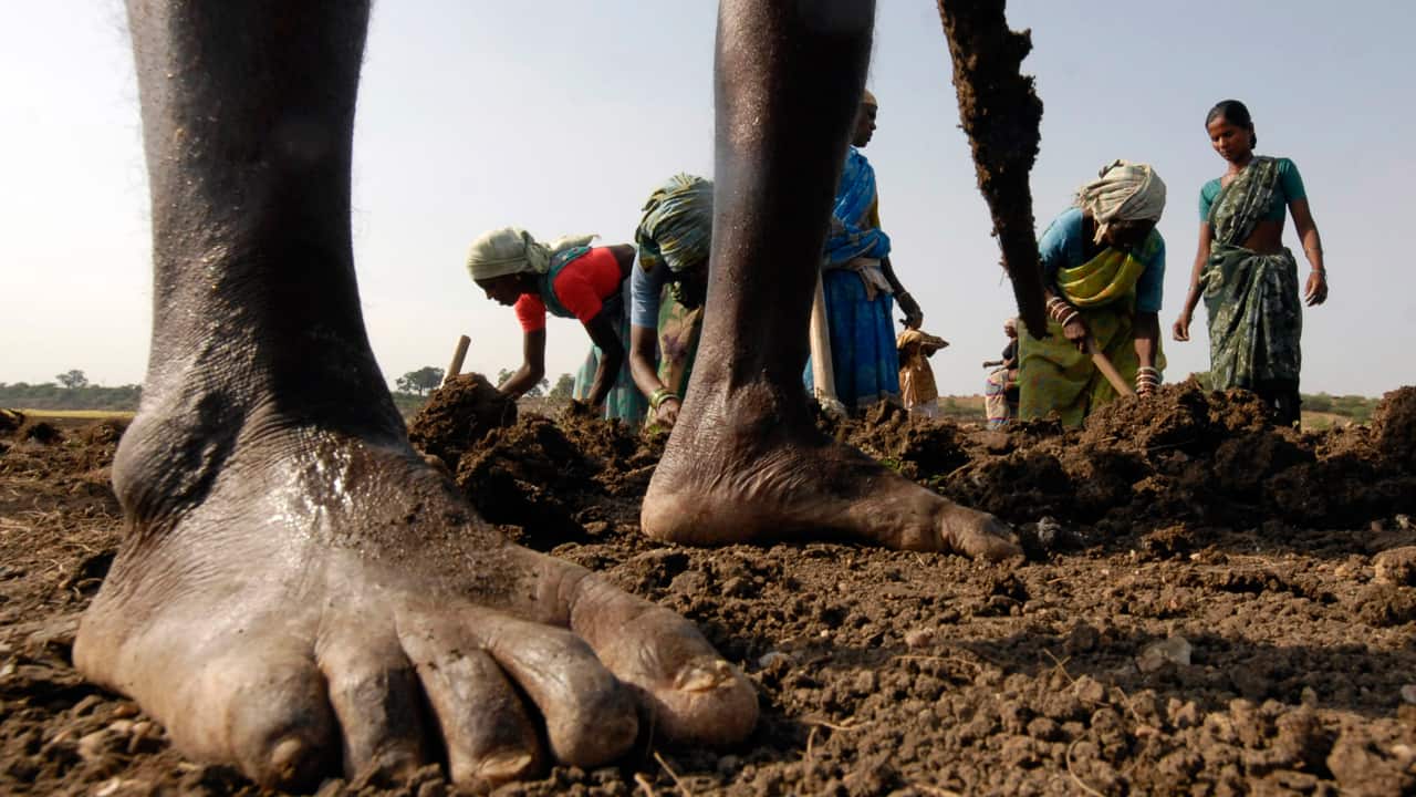 India's landless poor: Amid rising rural poverty and lower access to ...