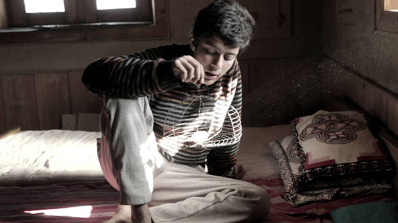 Pashi movie review: Seemingly gentle story of love and desire that ...