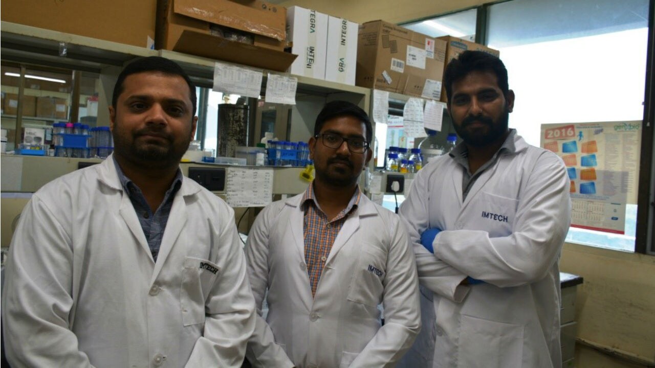 Scientists uncover a piece in the puzzle of macrophage activation ... Scientists uncover a piece in the puzzle of macrophage activation ...