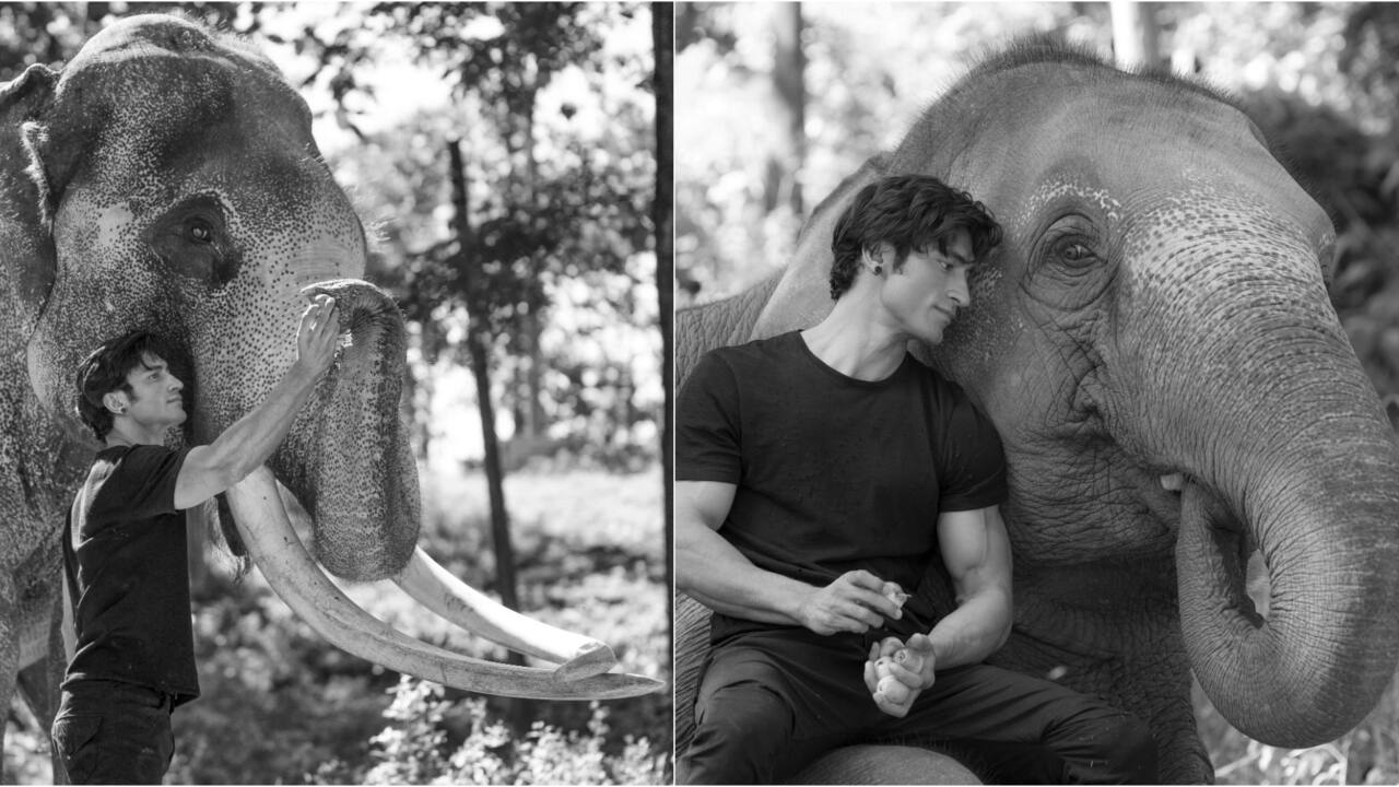 Junglee: Trailer for Vidyut Jammwal's upcoming adventure film will ...