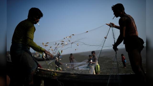 Rohingya refugees find respite in Bangladesh's fishing industry; take ...