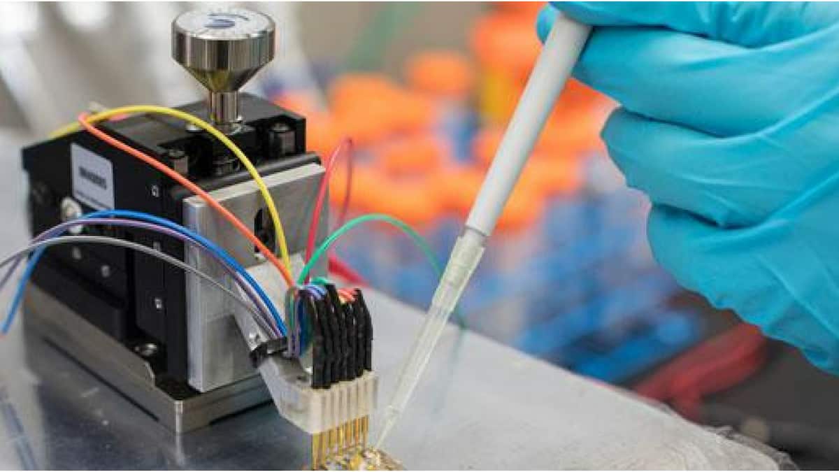 Researchers developed a low-cost plastic sensor to monitor a wide range ...