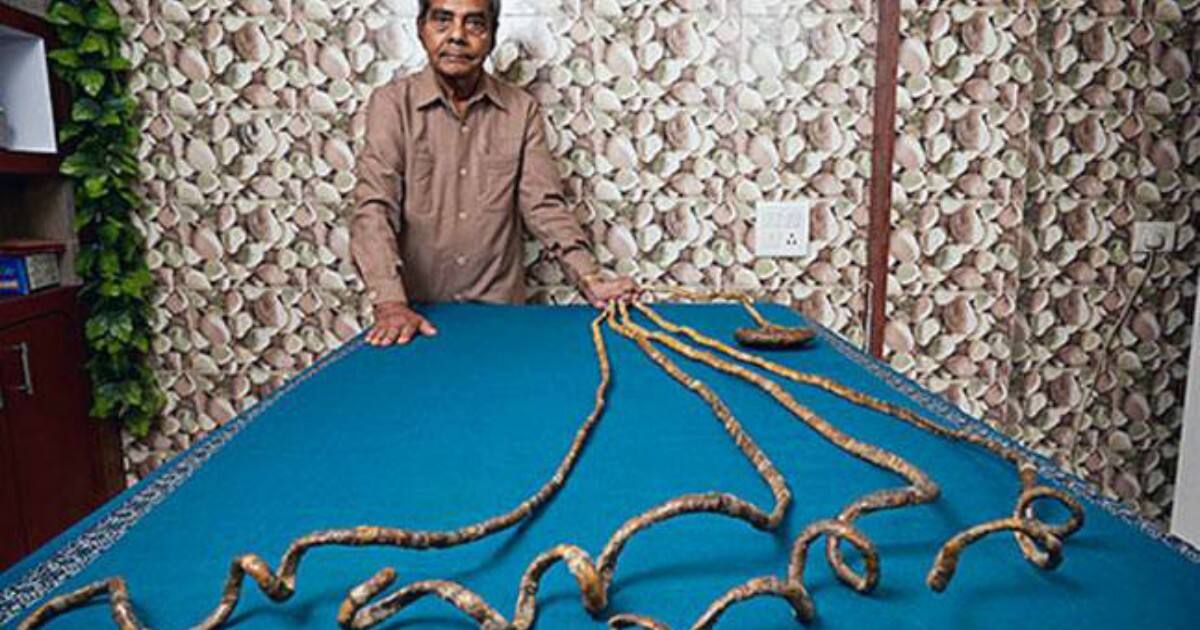 Indian octogenarian with world's longest fingernails set to cut coiled ...