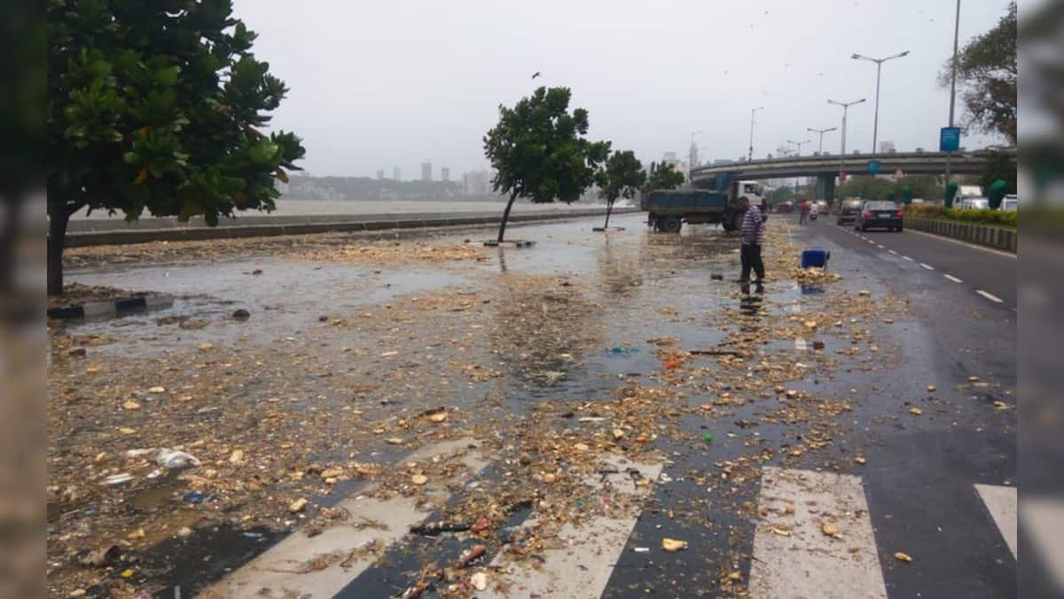 Mumbai rain: Marine Drive drowns in garbage as high tide throws up nearly 361 tonnes of trash ...