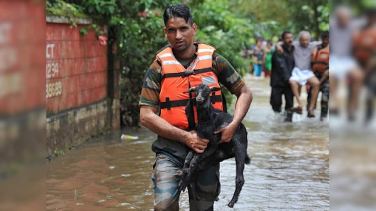 Hapless animals die awaiting help amid Kerala floods; rescue teams ...