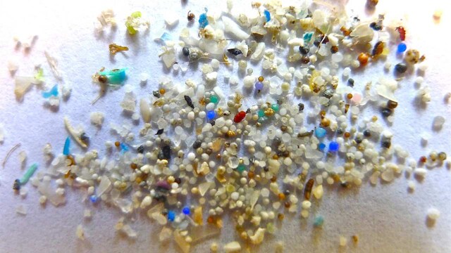 Micro-plastics are entering the human body and are dangerous to human ...