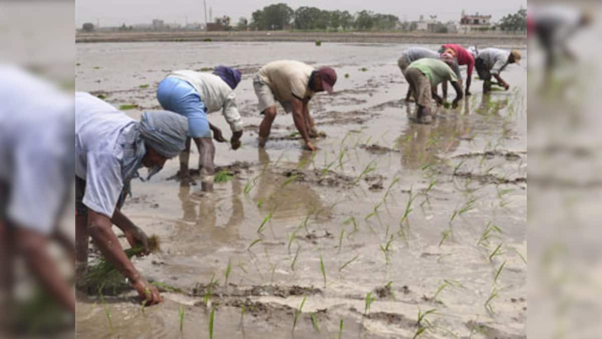 Punjab labour shortage: Rising scarcity of farm workers pushes up ...