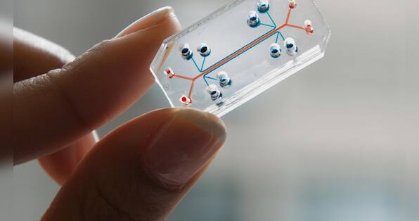 NASA plans to send living tissue, organs chips to ISS for microgravity ...
