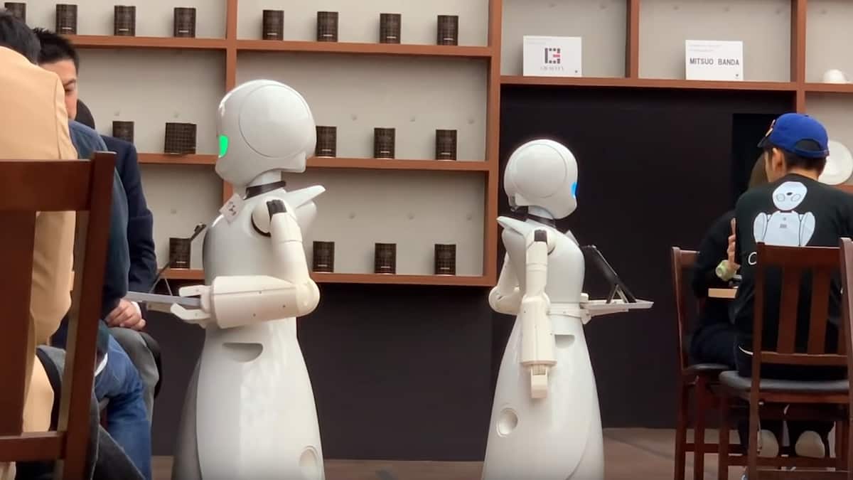 Robot-waiters remotely controlled by differently abled people serve at ...