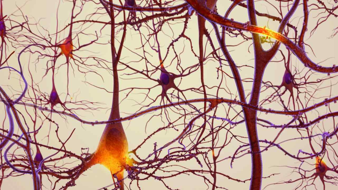 Largest brain-like supercomputer switched on after 10 years under ...