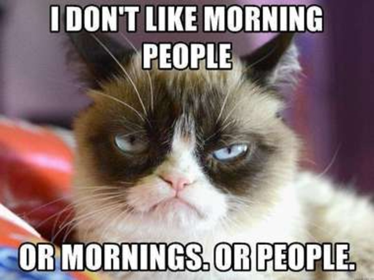 Grumpy Cat Morning People