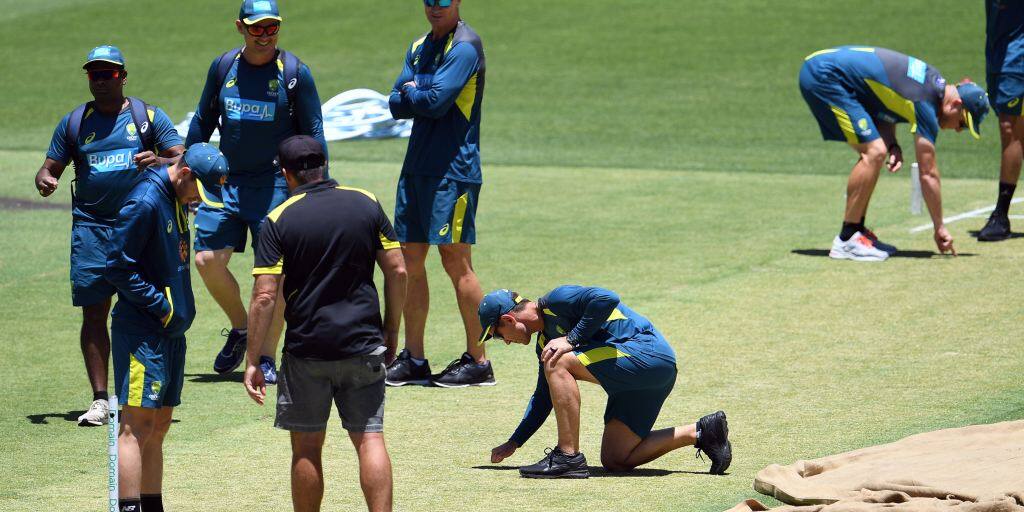 India vs Australia: Grassy Optus Stadium pitch in focus as 'excited ...
