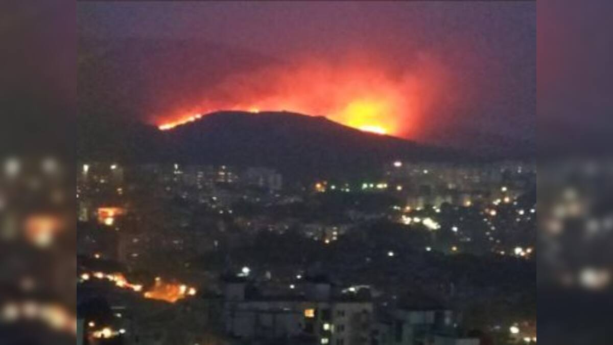 Reasons for Aarey Colony fire inconclusive, says Mumbai fire dept ...