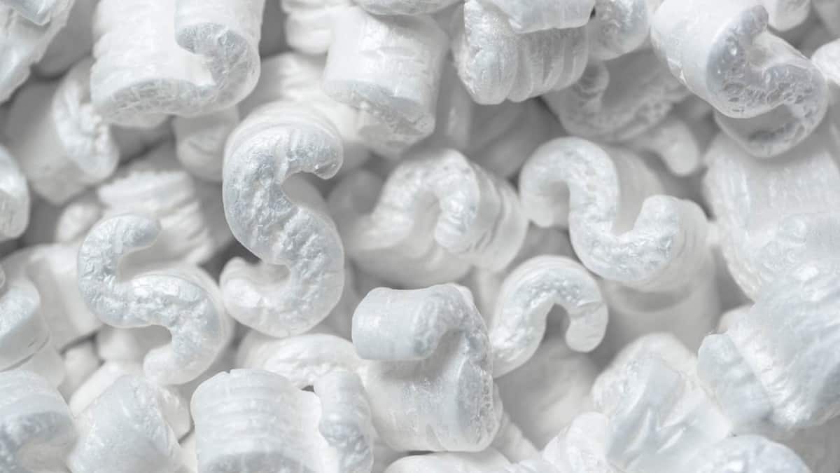Plant-based alternative to Styrofoam developed for insulation — does it ...