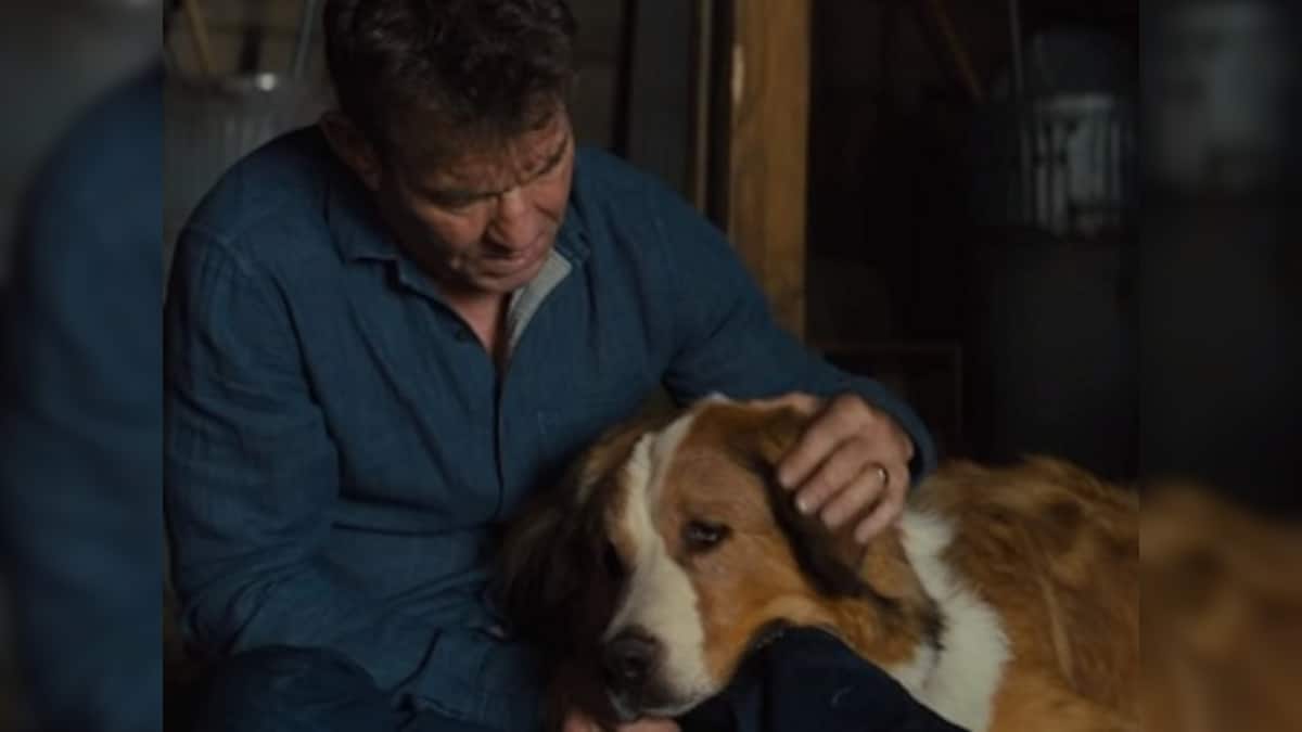 A Dog's Journey movie review: Heartwarming take on human dynamics ...