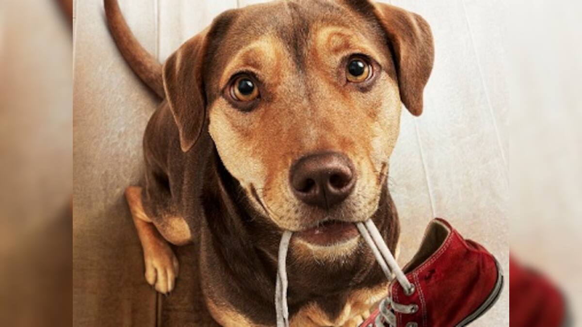 A Dog's Way Home movie review: Easy family watch but for several ...