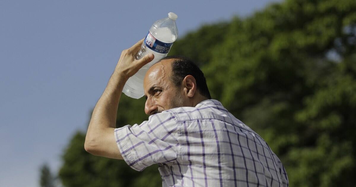 Temperatures touch 44 degrees Celsius in France as Europe witnesses ...