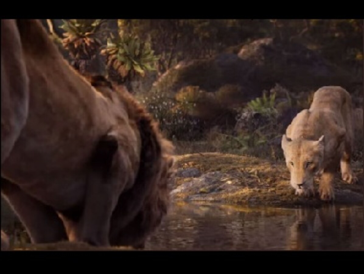 Sarabi And Simba At Dawn