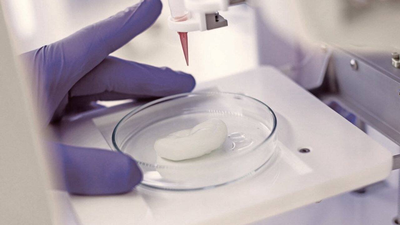 IIT researchers 3D print human organs, implants using bio-ink made from ...