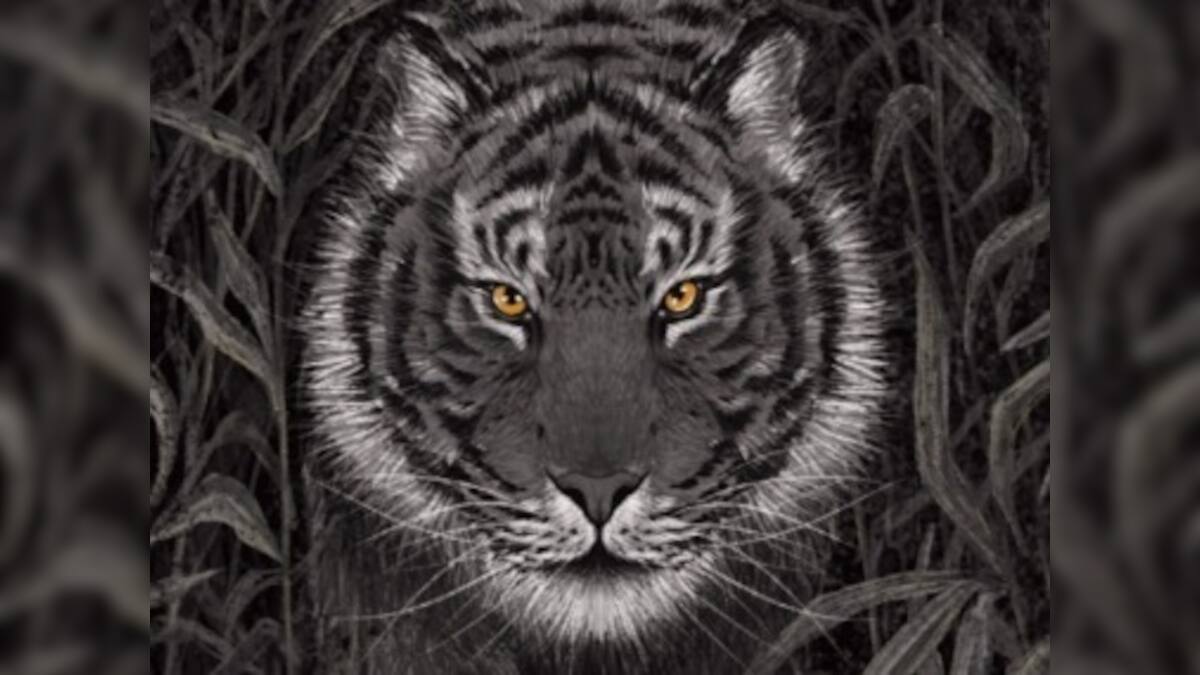 Animalia Indica: Sumana Roy curates stories that uphold bygone animal ...