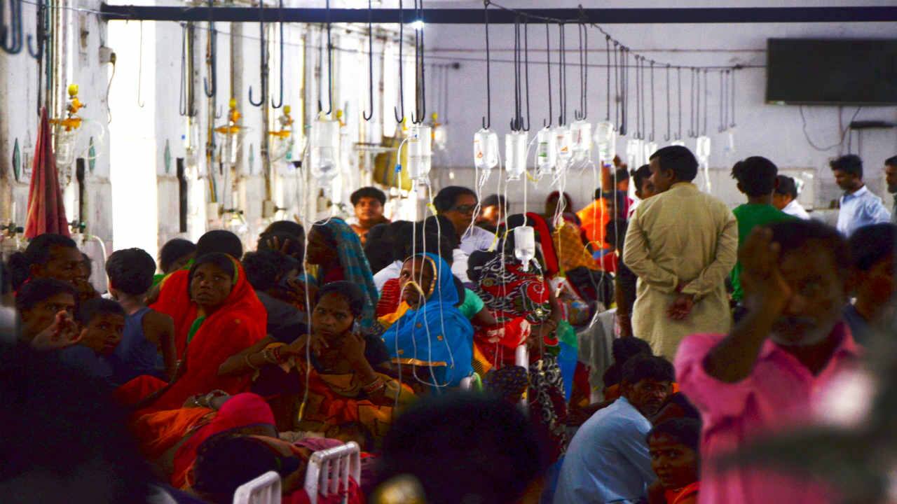 From Japanese encephalitis to autoimmune encephalitis, here's a brief ...