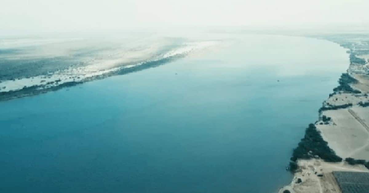 A barrage to save, or doom, Indus delta: Pakistani authorities, experts ...