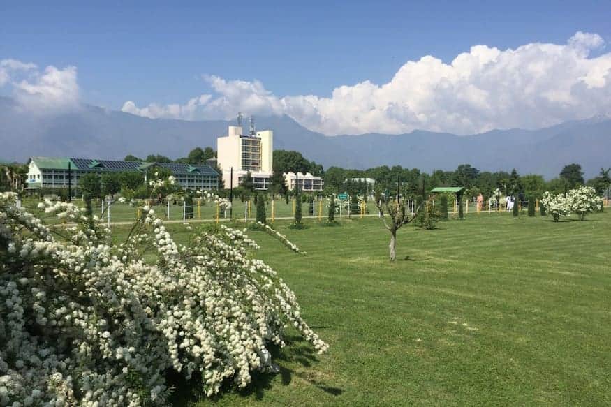 Central University of Kashmir invites applications for non-teaching ...