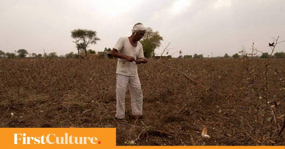 In Karnataka's Boragaon, farmers suffer losses worth lakhs in lockdown ...